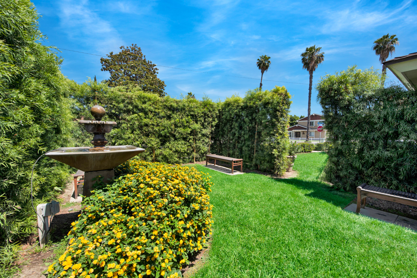 Alcohol And Drug Rehab Orange County Ca Lighthouse Treatment Center